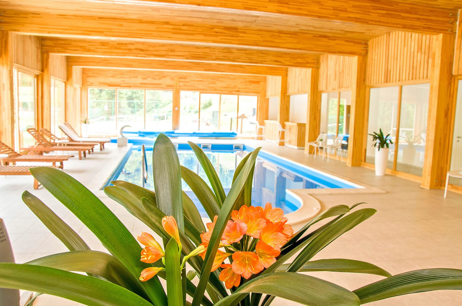 Cjenovnik usluga u wellness & spa centru – Hajdučke vode